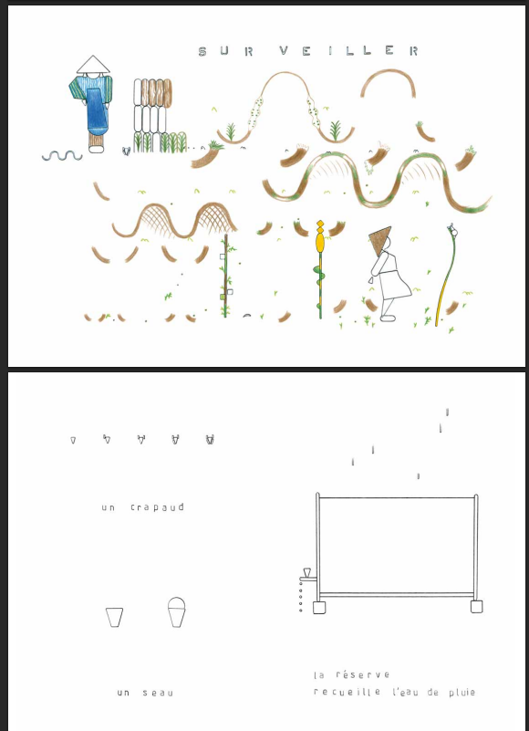 从头到尾-儿童文学小说-牡丹花版權代理-牡丹花版權代理
